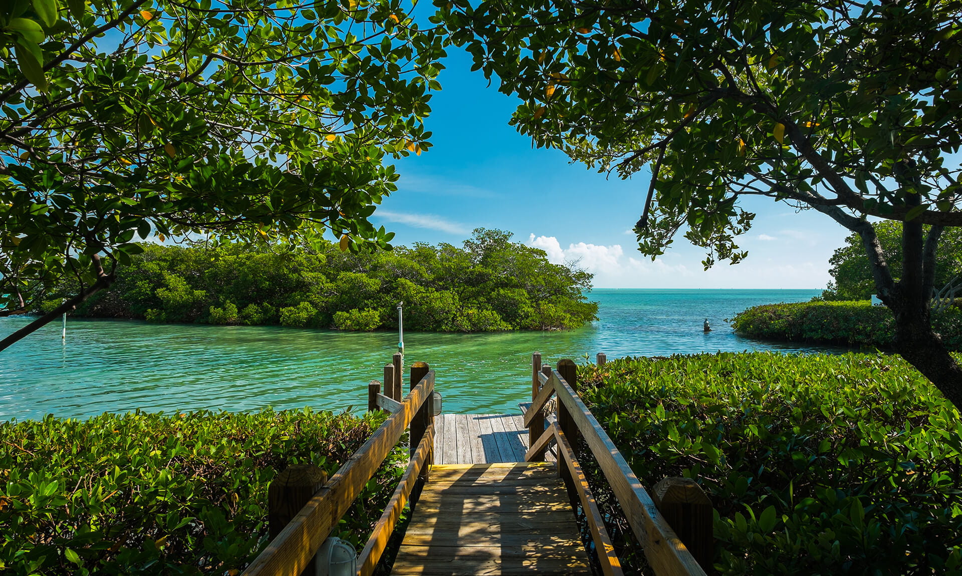 Risk Management - Peter G Magnuson - Sarasota, FL